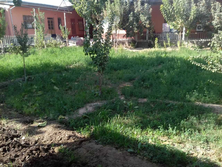 Шошилинч сотувда ховли