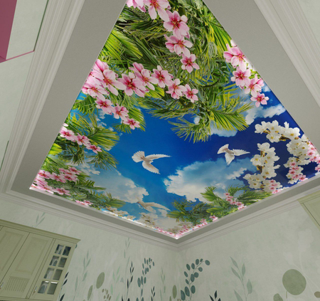 Natijnoy patolok Tashkent