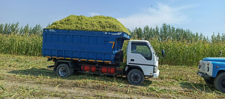 Isuzu.kelishilgan narhda
