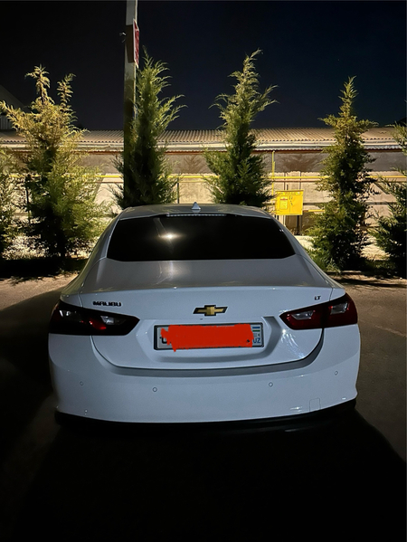 Malibu 2 2.4 atmosferniy