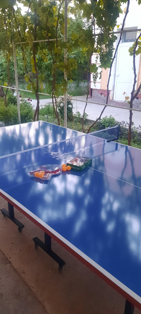 Теннисный стол, 
