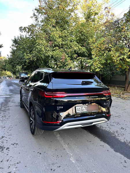 byd chempion 605