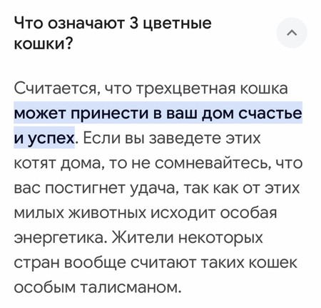 Отдам котенка в зорошие руки.