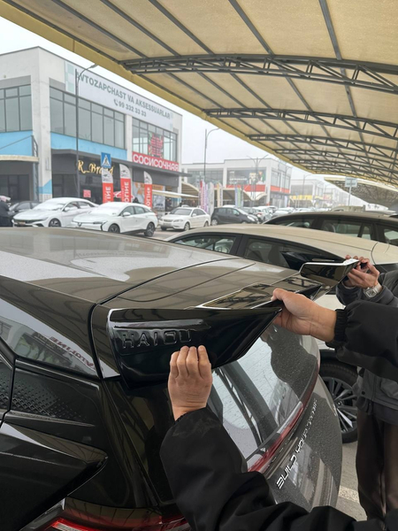 Byd seagull spoller