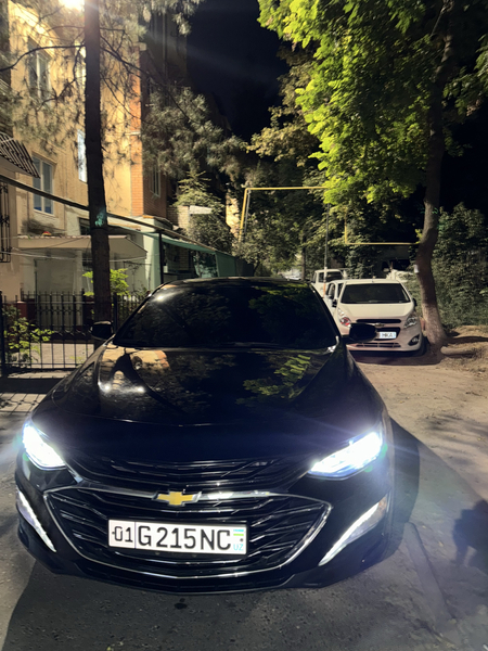 Rent car/ ijara kunlik avto/ прокат суточный авто/ prokat