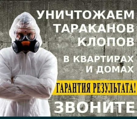 Дезинфекция от грызунов Крысы,Мыши. Dezinfeksiya Sichqon Kalamush 24/7