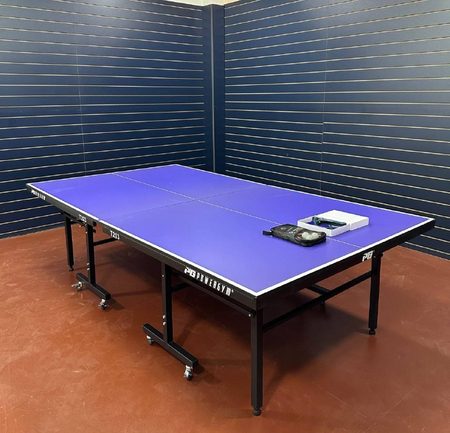 Теннисный стол привозной PG-T202 T203 T204