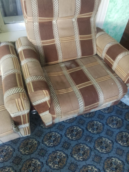 Divan 500 000 koʻkchada