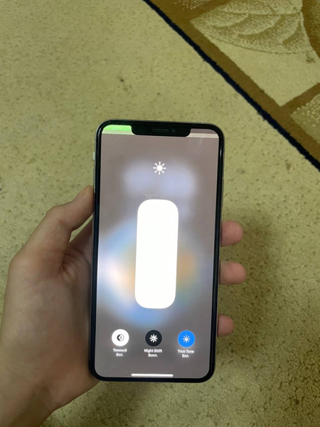 iPhone XS Max 256 Gb