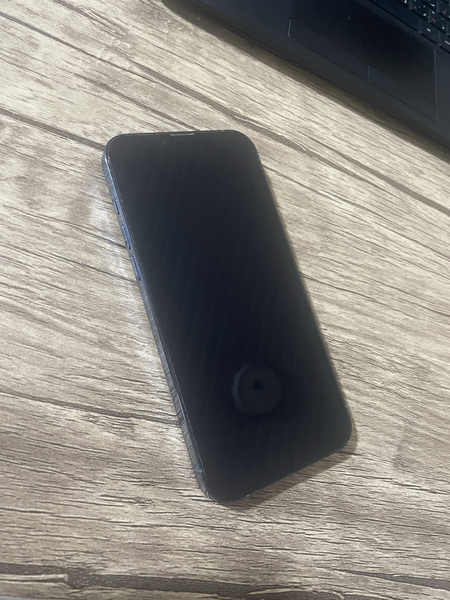 Iphone 13 pro max 256
