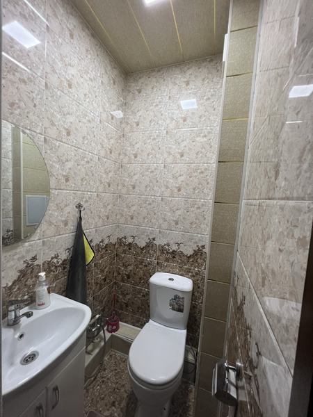 Algaritim qizil sharq