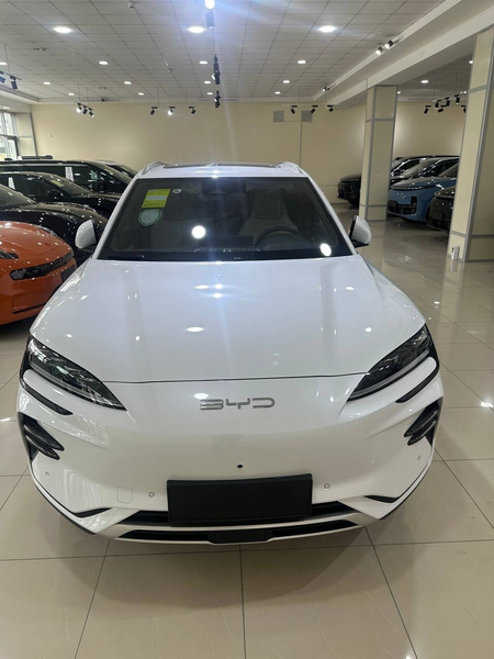BYD Champion 605km 2023