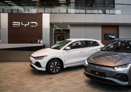 BYD диска балон оригинал R16 2024г