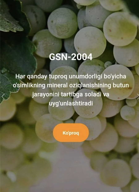 GSN-2004, soul  AКЦИЯ 75 000 сум 1 л