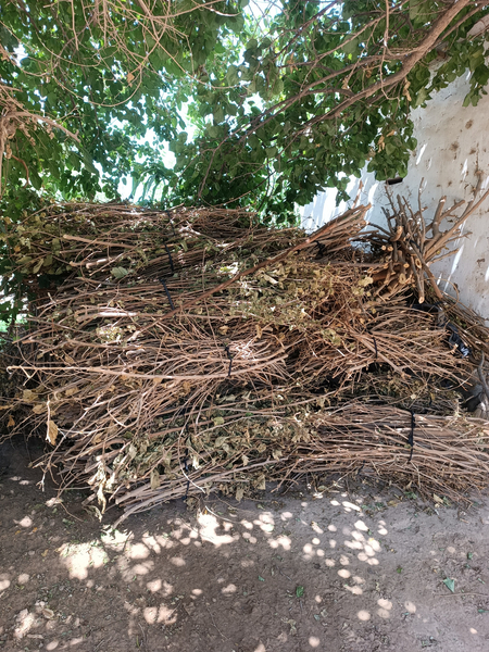 Oʻtin sotiladi toʻnkalari gam bor