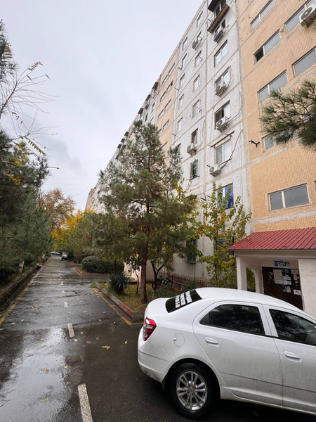 Метро Айбек Центр Города 2/9/9 Мирабадском ор-р Брайс Берри