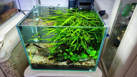 Аквариум Akvarium