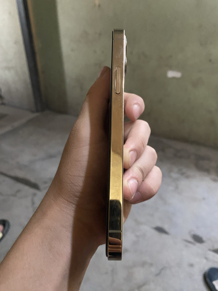 Iphone 12 pro ideal