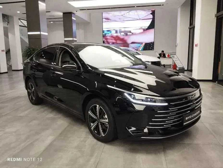 BYD Chazor arenda s vikupga