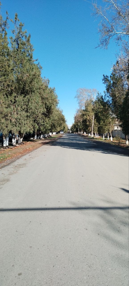 2 sotIxli kotej sotiladi Shahrisabz tumani Shovkan qishlog'i