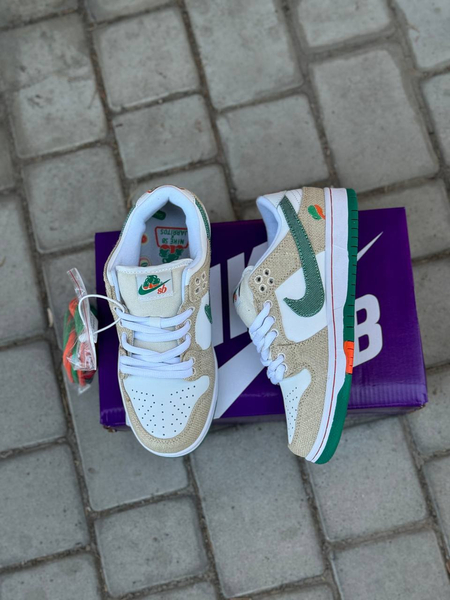 Nike Sb Dunk x low