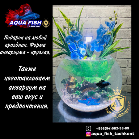 Подарок на любой праздник. Форма аквариума - круглая