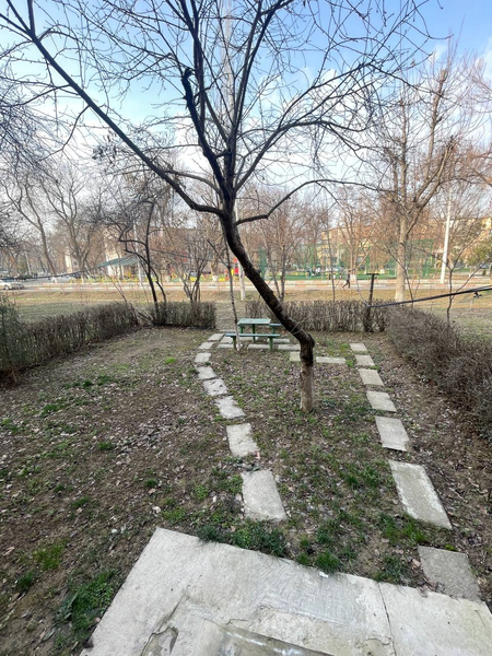 2/1/4 аренда, массив Ялангач
