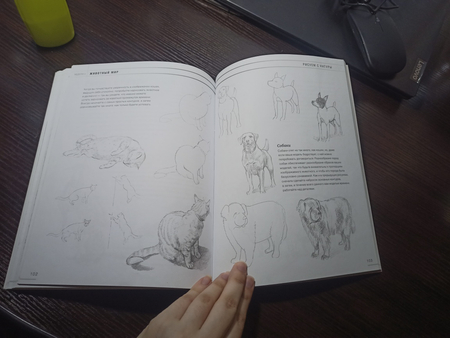 Книга По Рисованию 