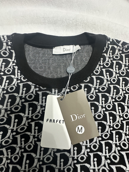 Dior futbolka original osenniy