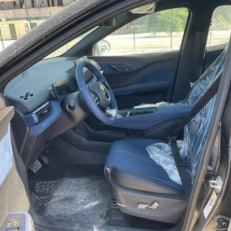 Byd seagull full
