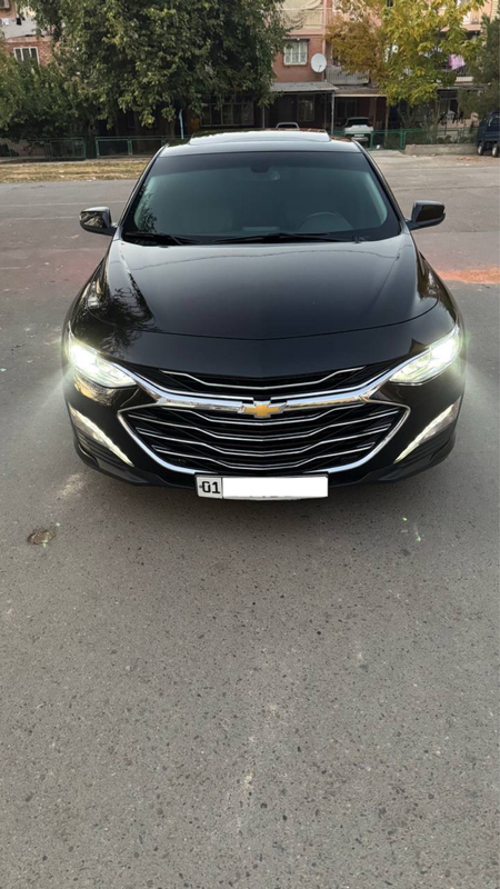 Malibu primier 2020 yil