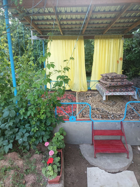 Dacha Piramidaga yaqin Joyda