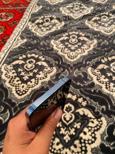 Iphone 13 pro max srochna