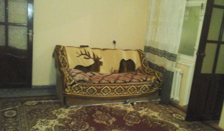 N1466 Olmazor tumani Beshqorgon-3.  1/3/5