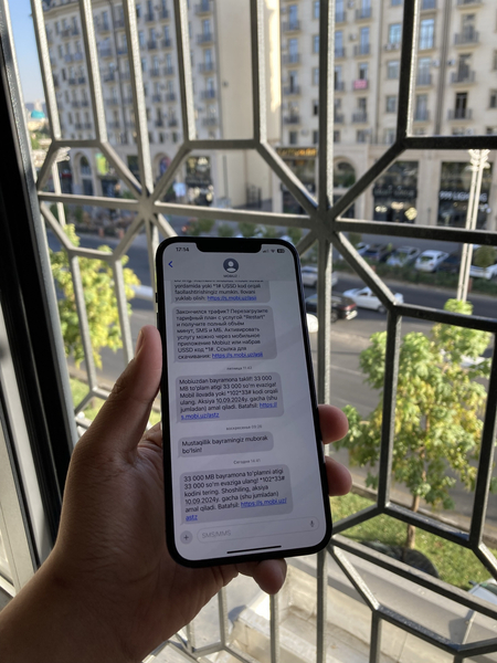 Iphone 12 Pro Max 256GB