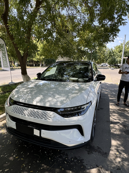 Leapmotor c11 smart hybrid 300km