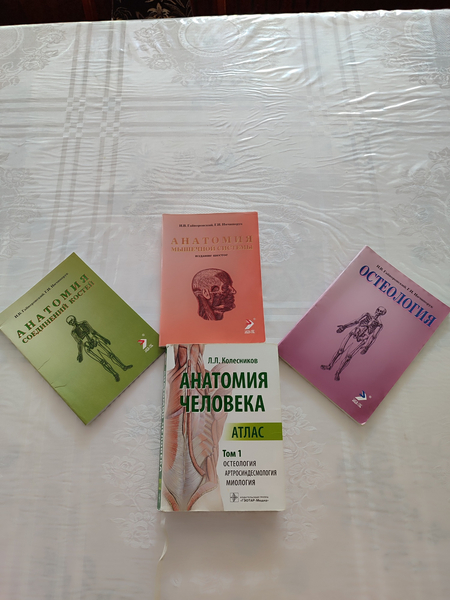 Анатомия человека Атлас