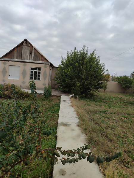 Dala hovli karmana tumani dacha vasxod