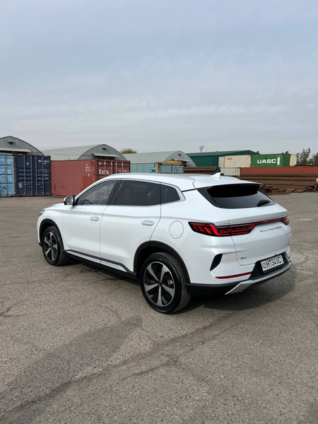 Byd song plus Dmi