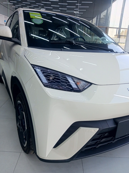 Byd seagull 2024
