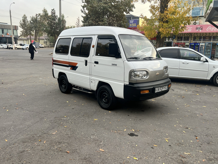 Damaz katsaner bor