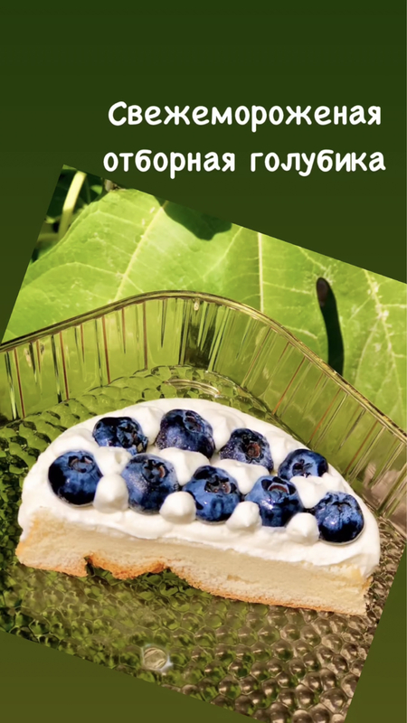 Бенто-холст для вашего творчества
