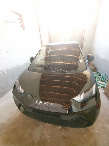 Byd seagull sotiladi 2023y