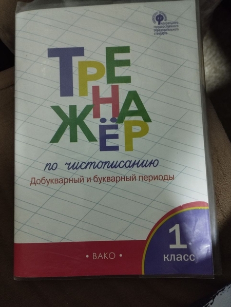 Прописная книга (тренажер)  для чистописания для детей дошкольных лет