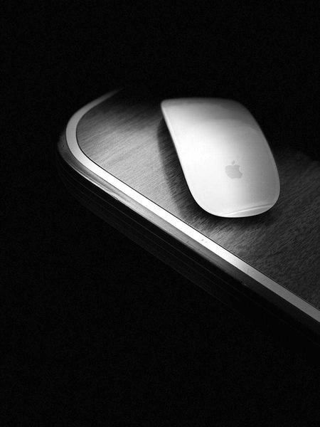 Apple Magic Mouse org 100%