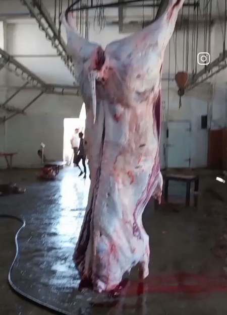 Qassob Hizmati Услуга Мясник
