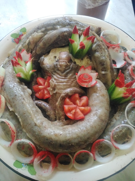 Калла поча хасиб Халяль Xasib kalla pocha qoy Qassob charvi Xasib