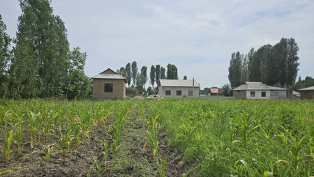 Uy sotiladi manzil Quyichirchiq tumanida