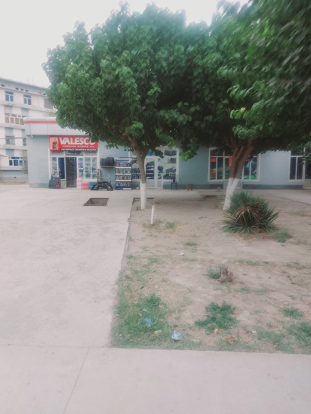 Dukon sotiladi. Keliwamiz.