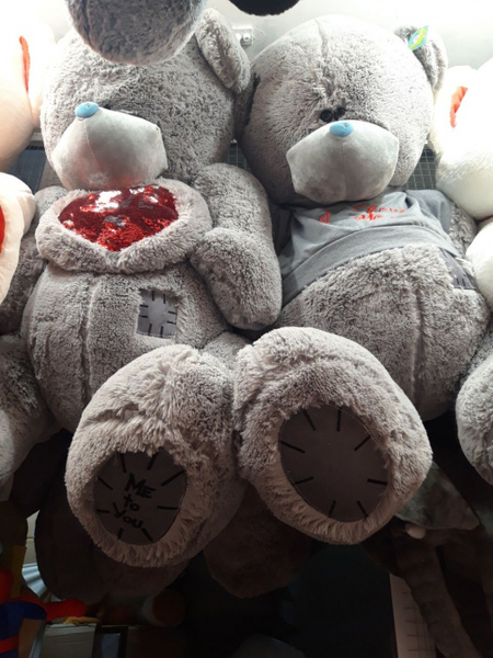 Teddy Teddi